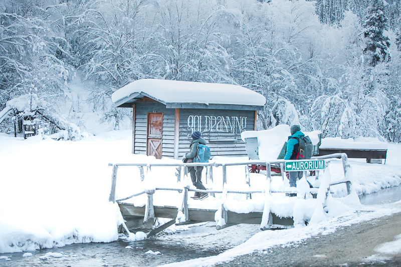 Imágenes: Invierno en Alaska - travernicolas